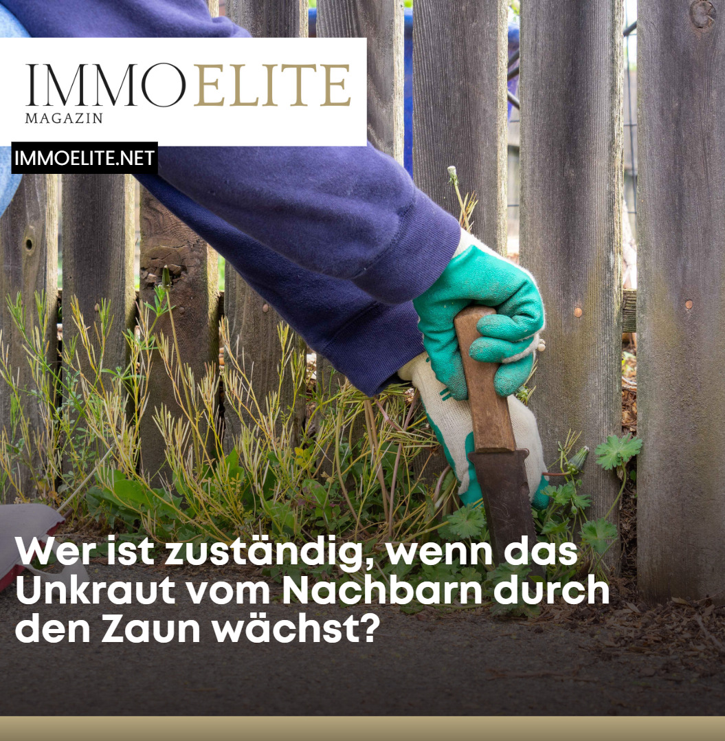 Faszinierend Unkraut Vom Nachbarn Wachst Durch Den Zaun Ebenbild