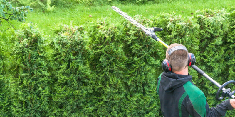 Erstaunlich Nachbarn Hecke Schneiden Fotos