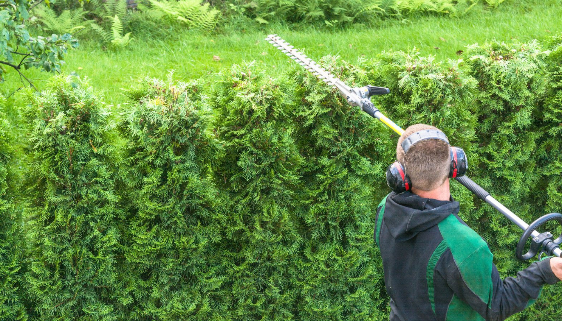 Hecke Schneiden Im Marz